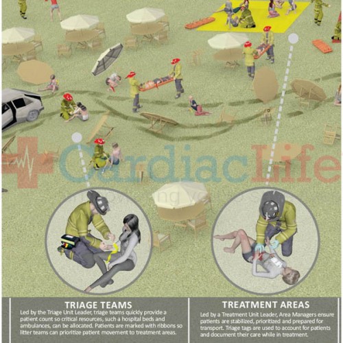 Disaster Management Systems 05979 Anatomy of an MCI Poster